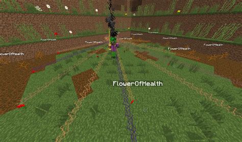 Image result for Custom-Design Minecraft Boss