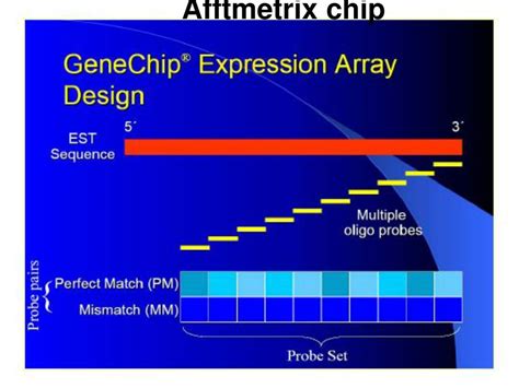 Image result for Microarray Chip