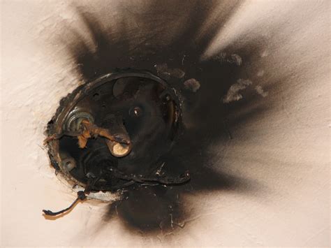 Image result for Ceiling Rose Junction Box