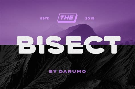 Image result for Bisect Workouts