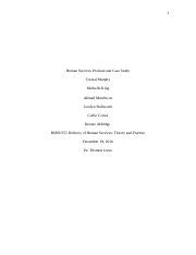 Image result for Human Service Professional Case Study Examples