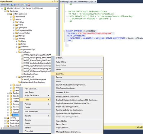 Image result for SQL Server Backup Encryption Diagram