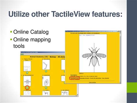 Image result for How to Use Tactile View