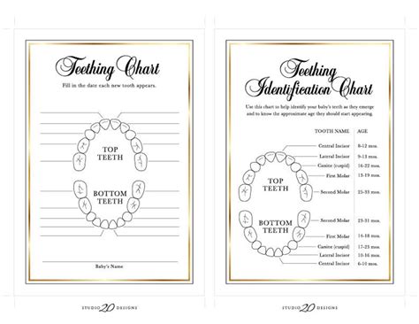 Image result for Teething Chart