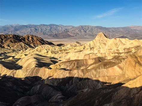 Image result for iPhone 6 Plus Camera Tutorial