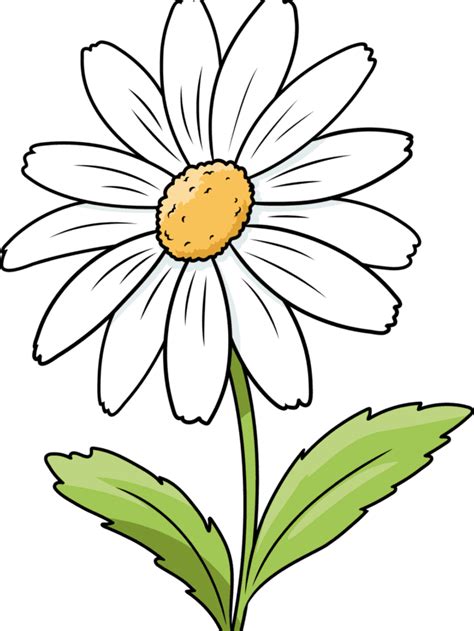 Image result for Daisy Tutorial