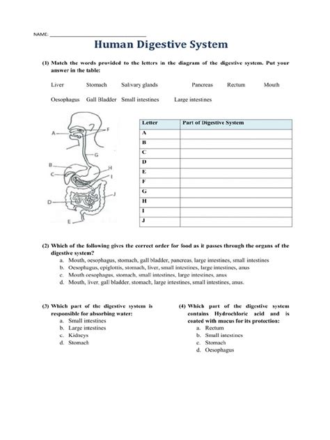 Image result for Homework Digestive System