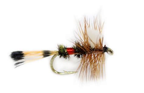 Image result for Royal Coachman Fly Pattern