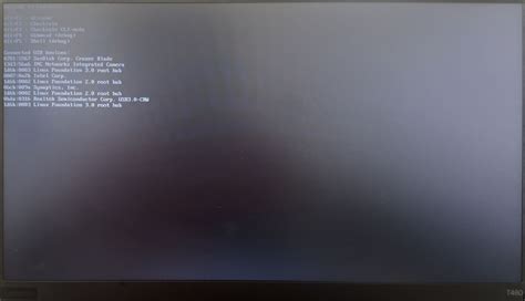 Image result for Checkra1n iOS Version