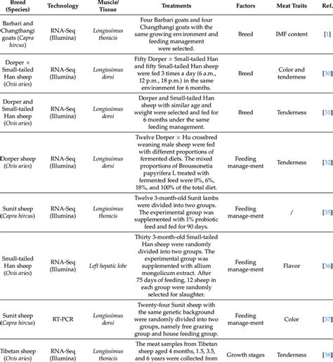 Image result for Sheep Reprogramming