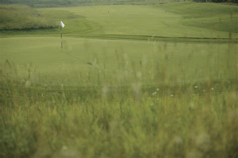 Image result for Free Golf Course