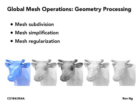 Image result for Geometry Processing