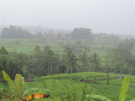 Image result for Java and Sumatra Islands