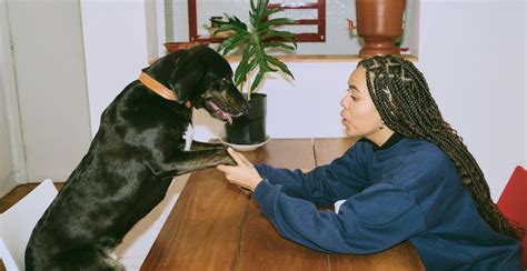 Image result for How Dogs Communicate with People