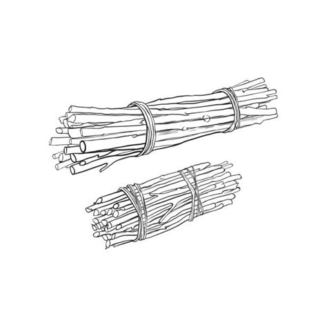 Image result for Segregation Drawing