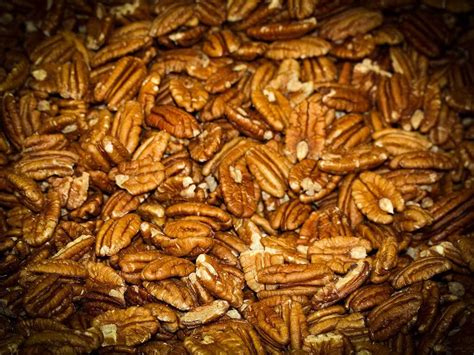 Image result for How to Store Pecans