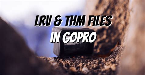 Image result for How to Tag LRV Files