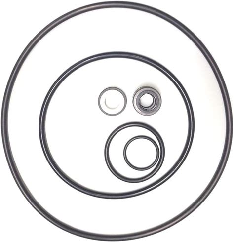Image result for Sta-Rite Pump Rebuild Kit