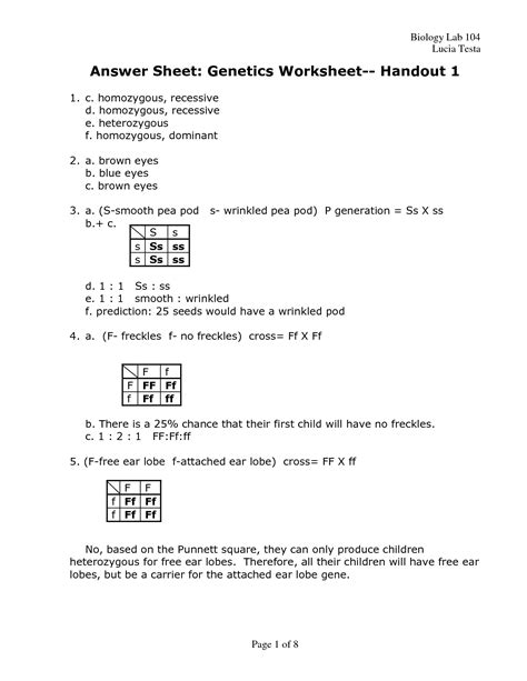 Image result for Mendelian Genetics Worksheet Answer Key