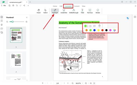 Image result for Edit Text On PDF File