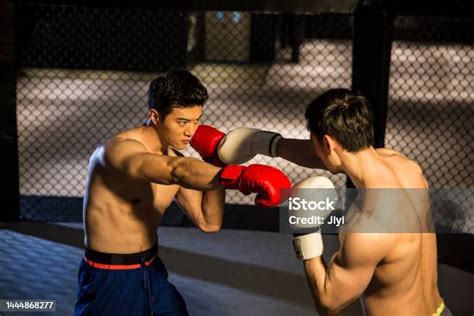 Image result for Boxing in Pool