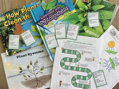 Image result for Cycle 2 Classical Conversations