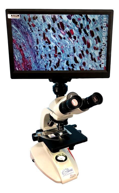 Image result for Microscope High Quality