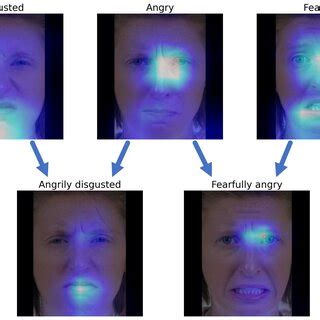 Image result for CNN Perception