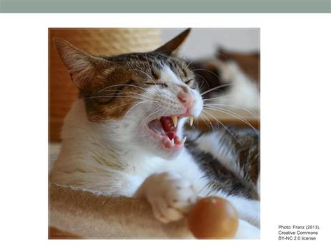 Image result for Well-Rounded Professional and Reflective Learning