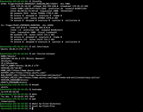 Image result for Ubuntu Linux Tutorial