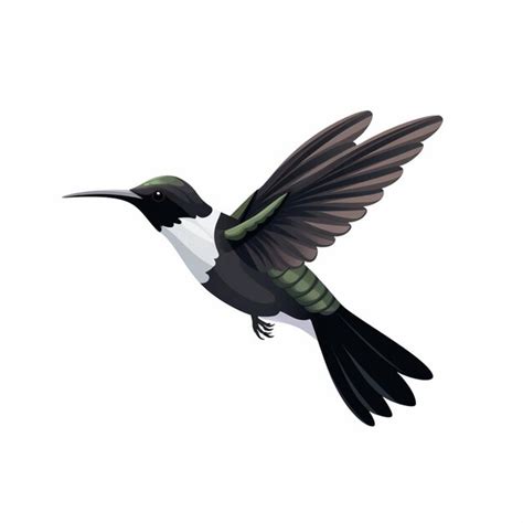 Image result for Humminbird Relief Shading