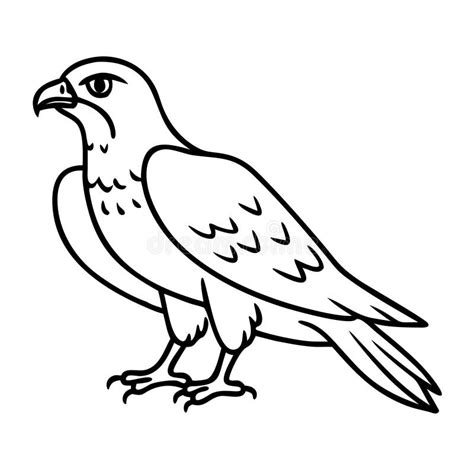 Image result for Hawk Drawing Easy Simple