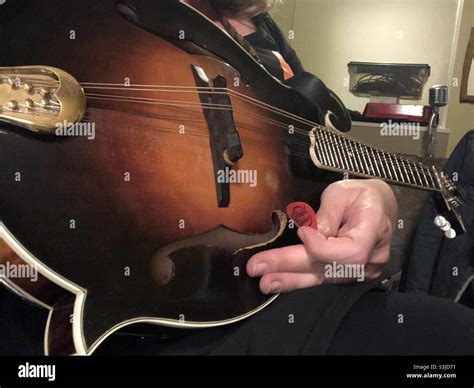 Image result for 3 String Mandolin