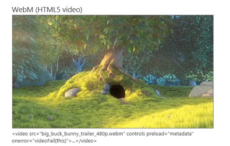 Image result for HTML5 WebM