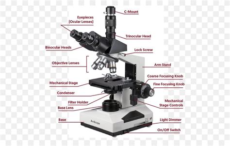 Image result for Setting Up Light Microscope for Phase Contrast Microscopy