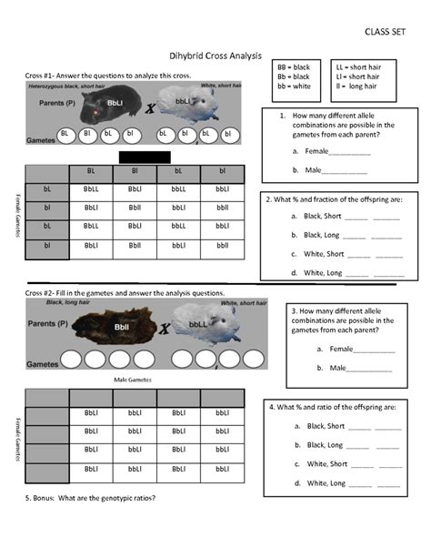 Image result for Mendelian Genetics Worksheet Answer Key