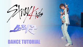 Image result for Thunderous Dance Tutorial