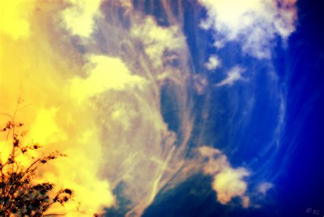 Image result for Clearest Blue Live