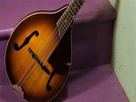 Image result for 10 String Mandolin