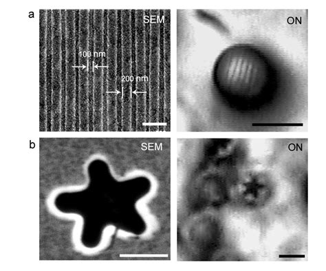 Image result for Most Powerful Microscope