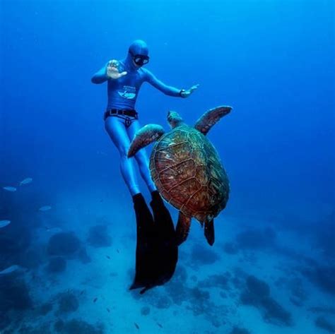 Image result for Ocean Project