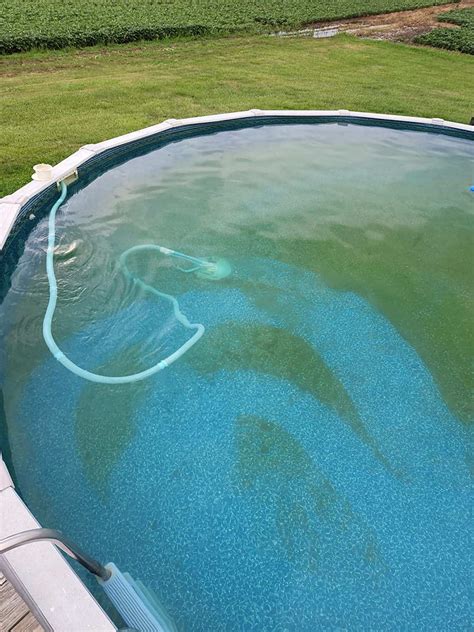 Image result for Intext Pool Vacuum