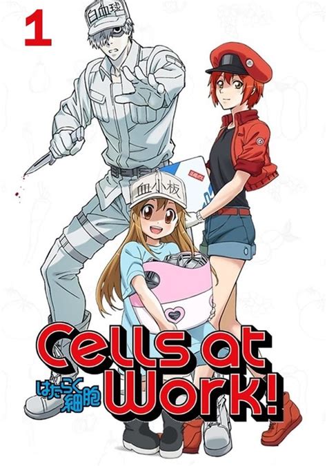 Image result for Cells at Work Net TV