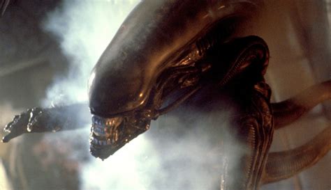 Image result for Alien En Español