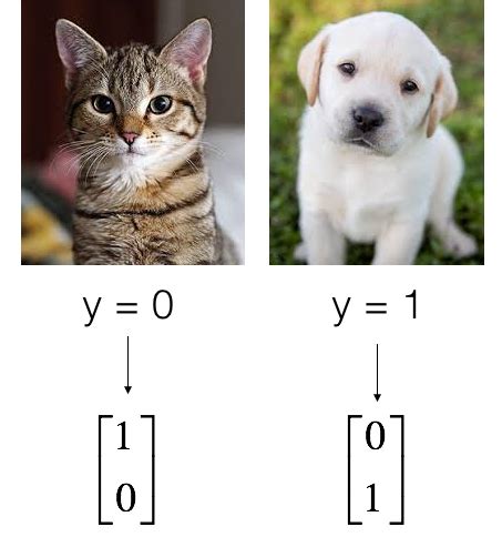 Image result for Neural Network Tensorflow Tutorial