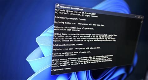 Image result for File Scan Windows 11