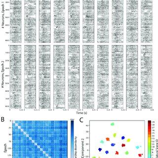 Image result for Spike Clues Part Experiments