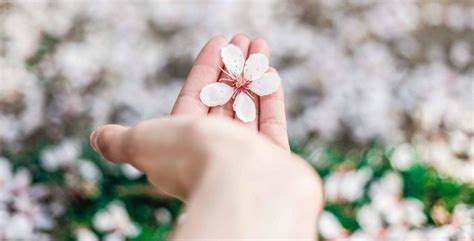 Image result for Spring First Movement