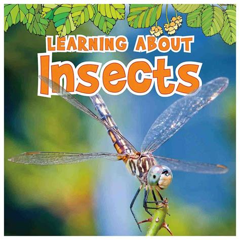 Image result for Insects Book Audio