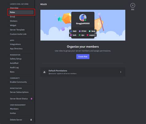 Image result for How to Use Discord Server
